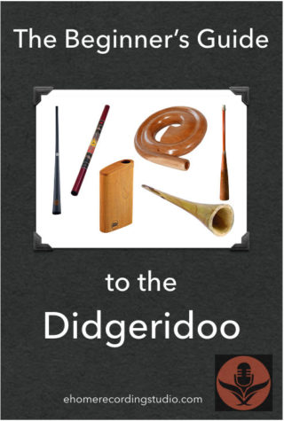 The Beginner's Guide to the Didgeridoo