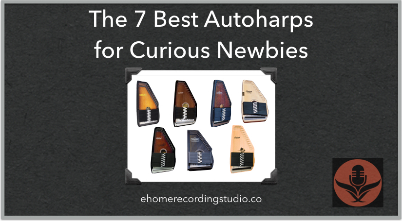 The 7 Best Autoharps for Curious Newbies
