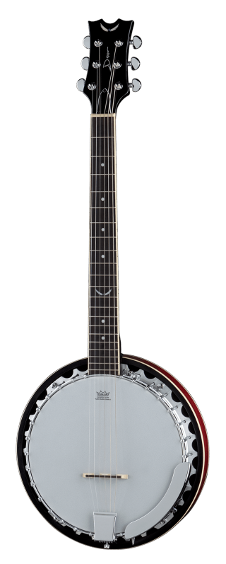 Banjos 101: The Ultimate Buyer's Guide for Musicians 🪕
