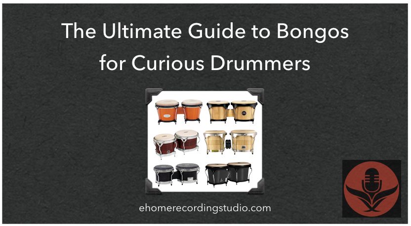 The Ultimate Guide to Bongos for curious Drummers
