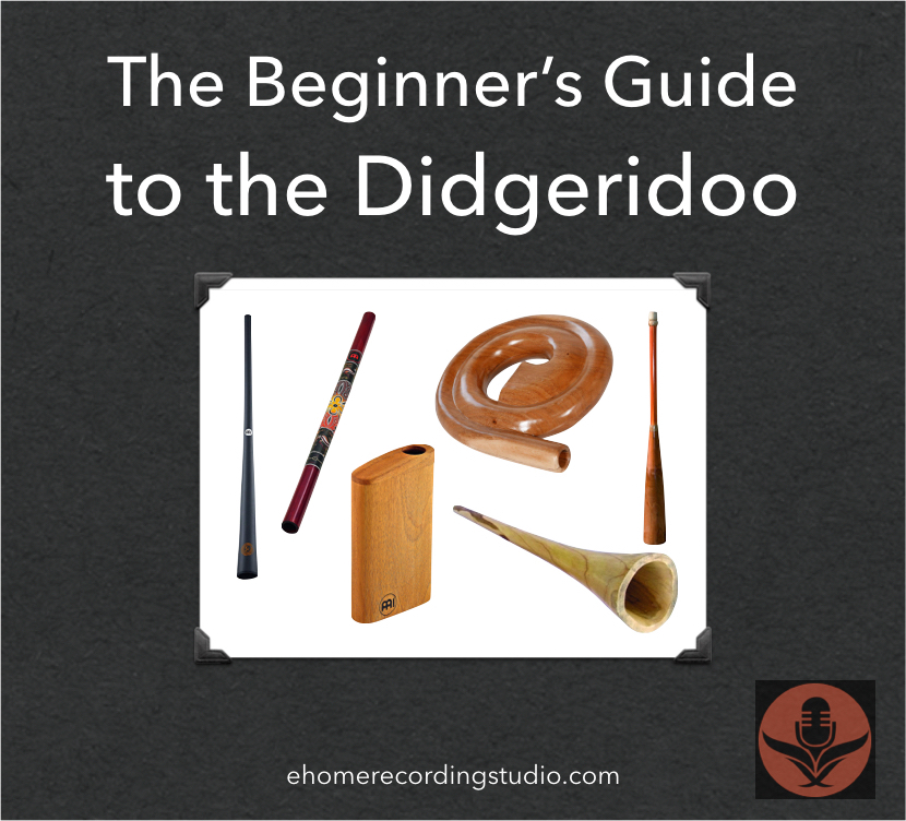 Didgeridoos 101: The Ultimate Buyer's Guide for Musicians