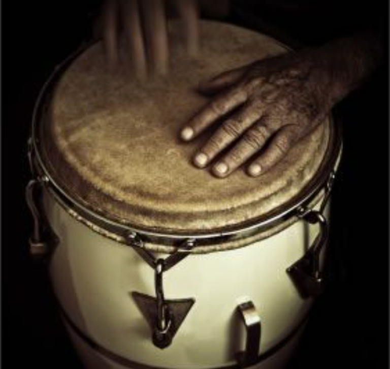 Congas 101: The Ultimate Buyer's Guide for Percussionists 🪘